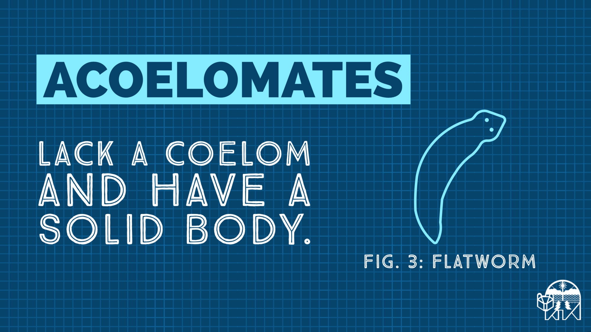 How to Build An Animal | Part Three