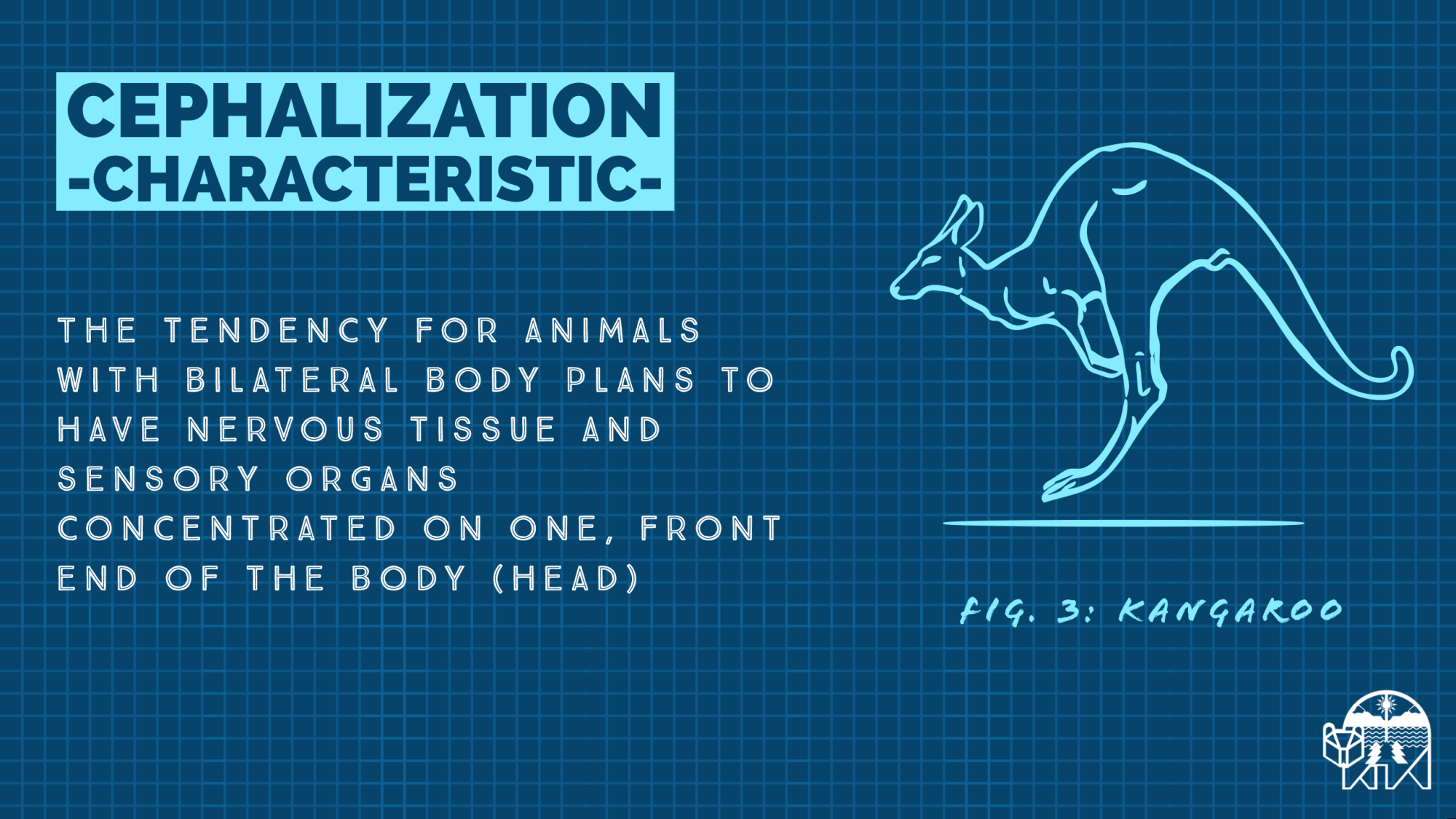 How to Build an Animal | Part One