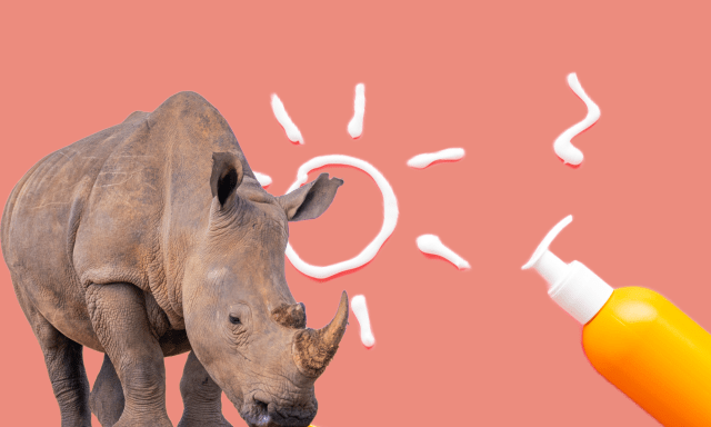 Can Other Animals Get Sunburns? - The Wild Life