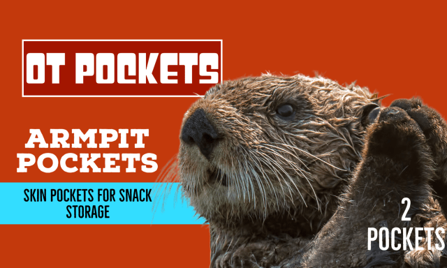 Sea Otters Have Secret Skin Pockets in Their Armpits