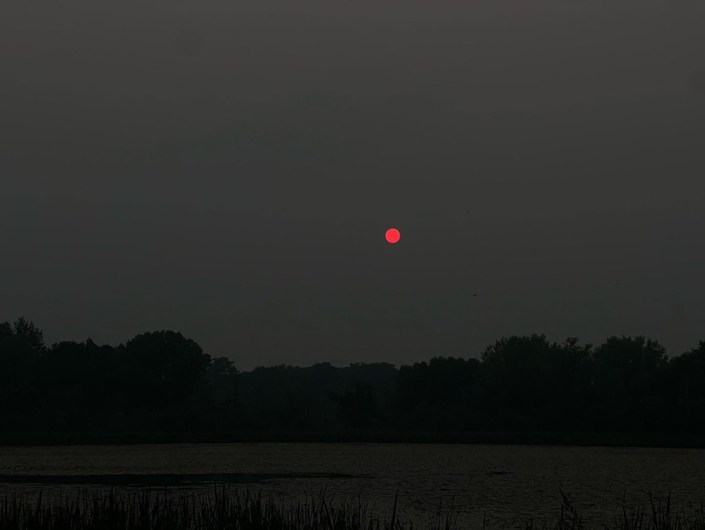 The Science Behind The Red Sun During Wildfires
